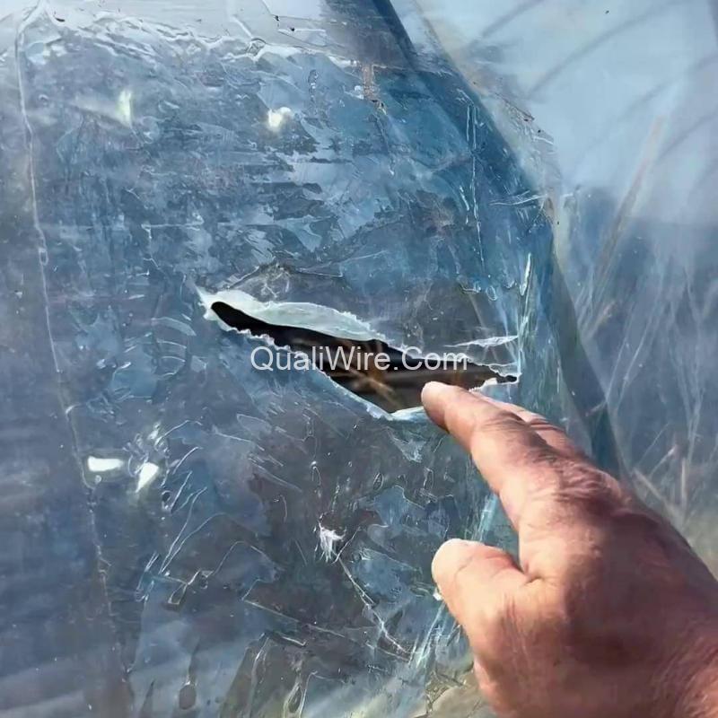 5 Essential Steps to Repair a Torn Greenhouse Plastic Film